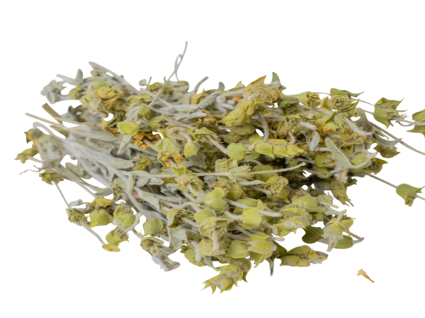 Albanian Traditional 5 Delicious Foods & Drinks You Need To Try!